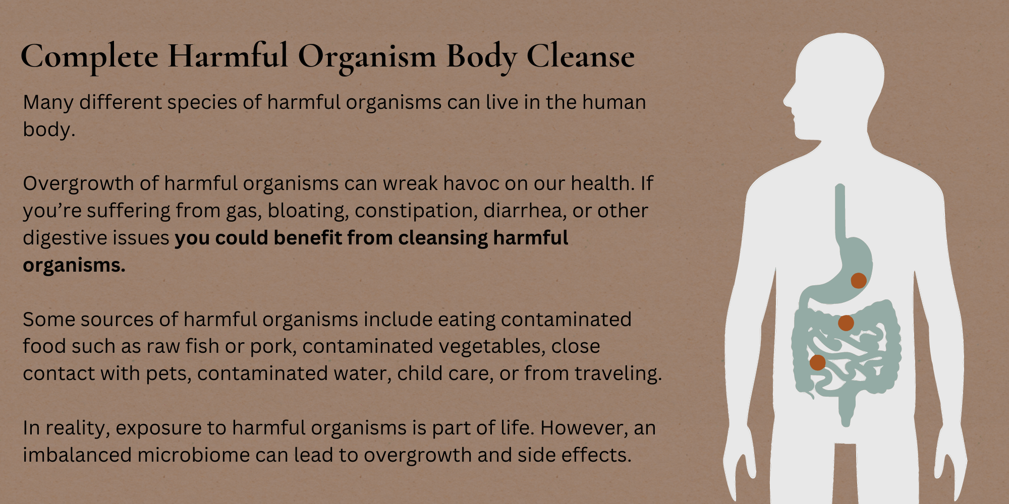 Complete Parasite Detox With Binder – The Garden Cure Company