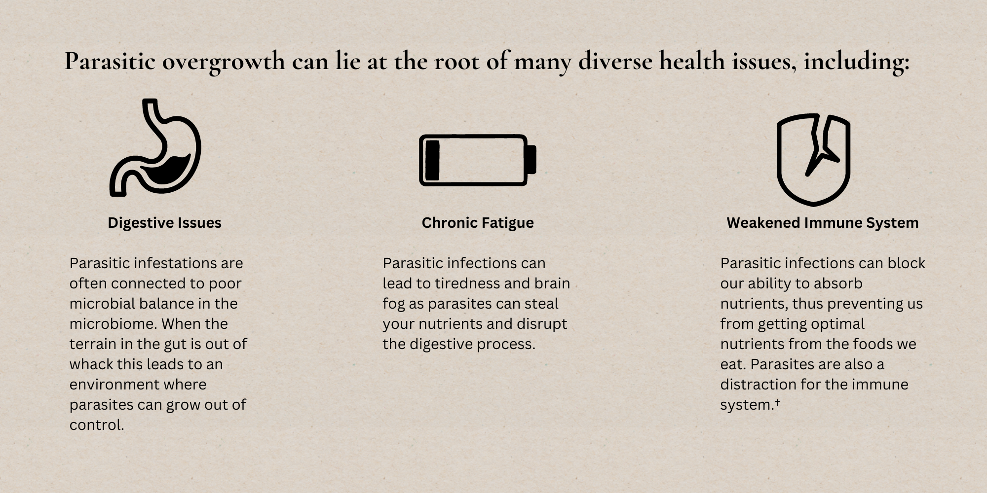 Complete Parasite Detox With Binder – The Garden Cure Company